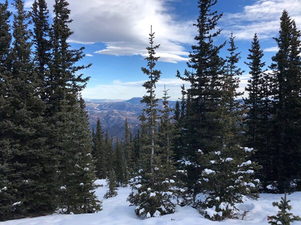 Hiking Trails in Colorado | Chief Mountain Trail